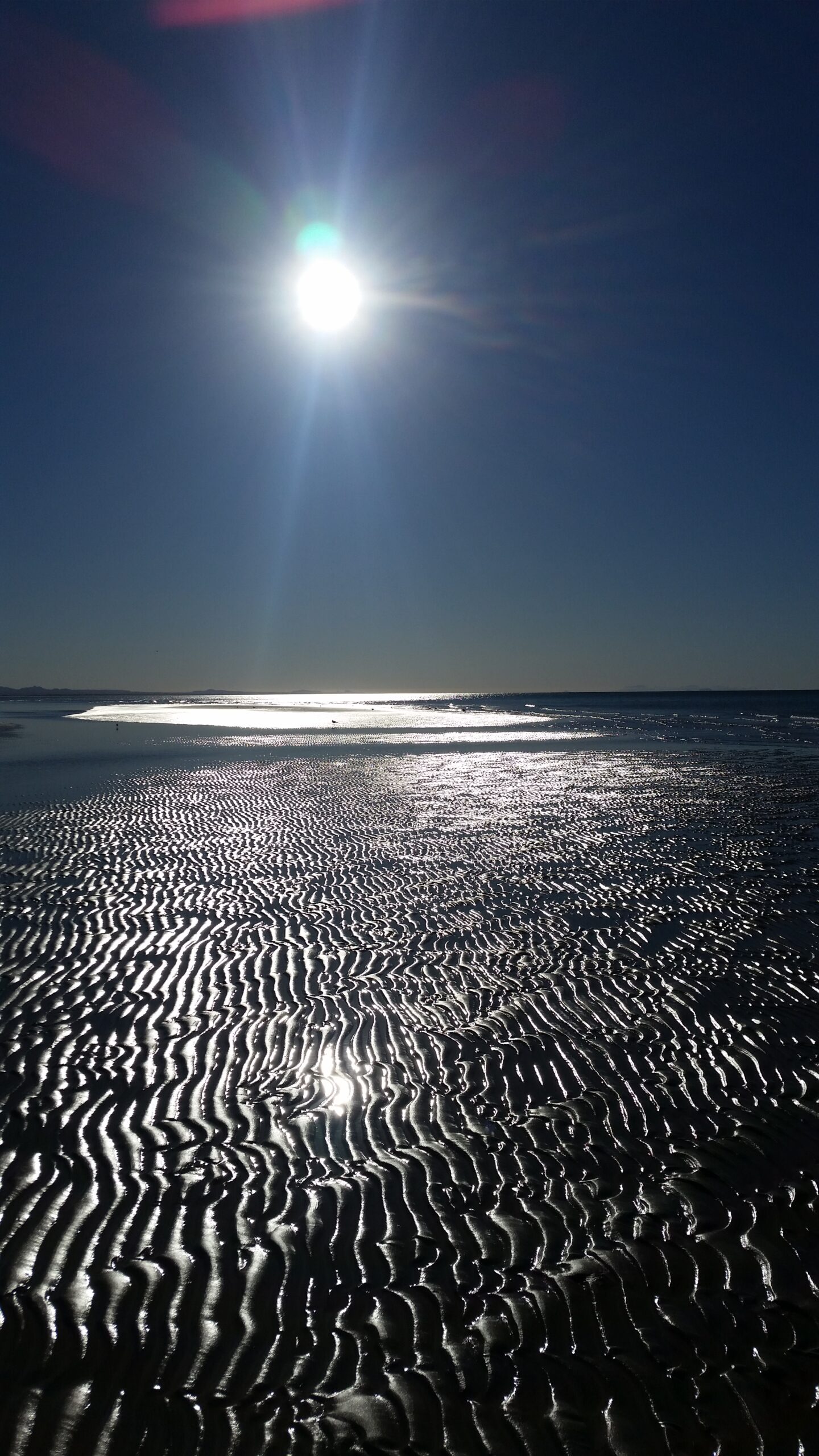 wageindex.com – Medicare Reimbursement Experts Since 1990